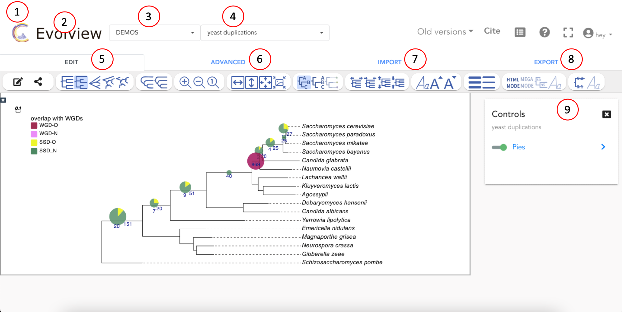 Evolview documentation