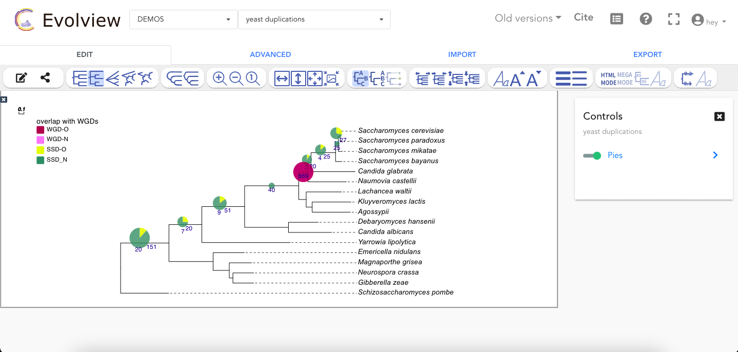 Evolview documentation